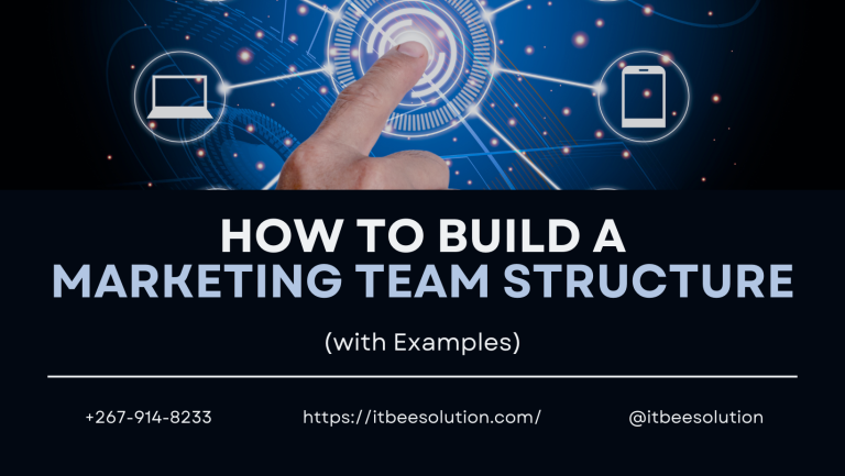 How to Build a Marketing Team Structure (with Examples) - ITBee Solution